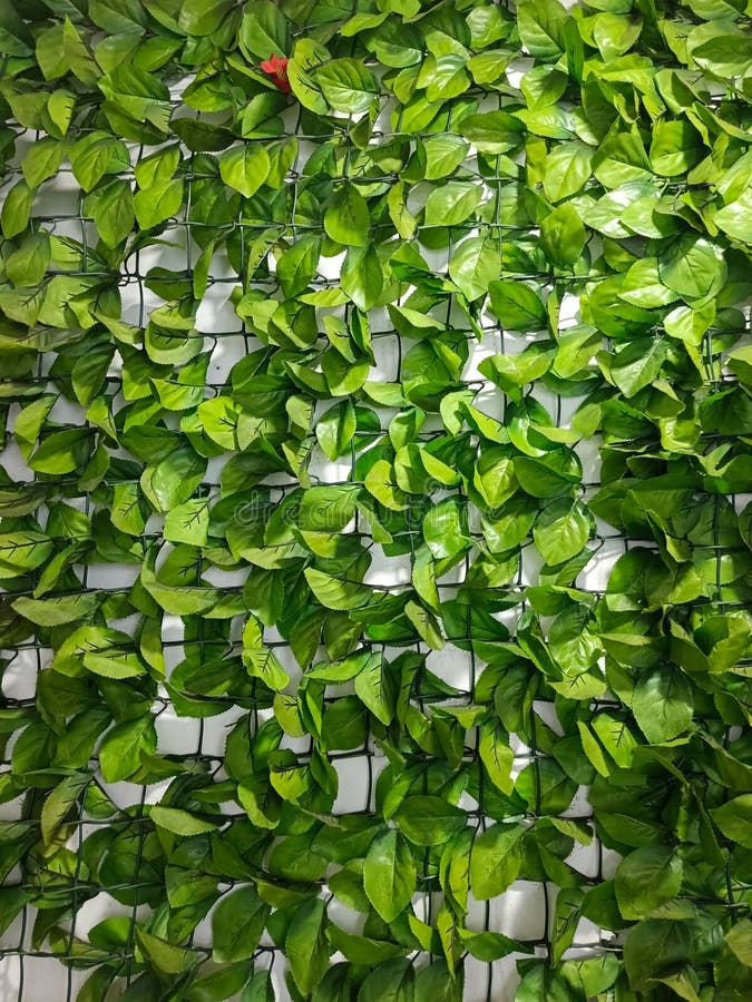 Vibrant Artificial Green Leaf Wall As a Lush Decorative Backdrop for ...