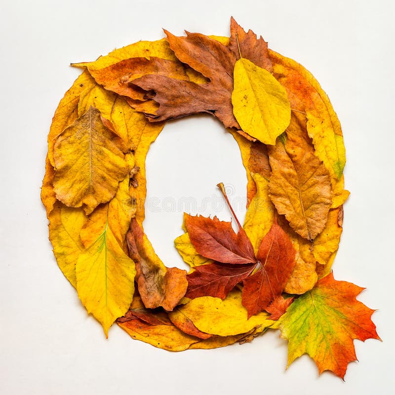 Vibrant Autumn Leaves in the Shape of an Alphabet Stock Illustration ...