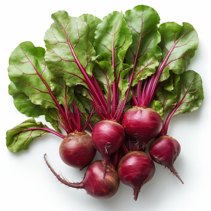 Vibrant Beets with Fresh Leaves and Roots on a White Background Stock ...