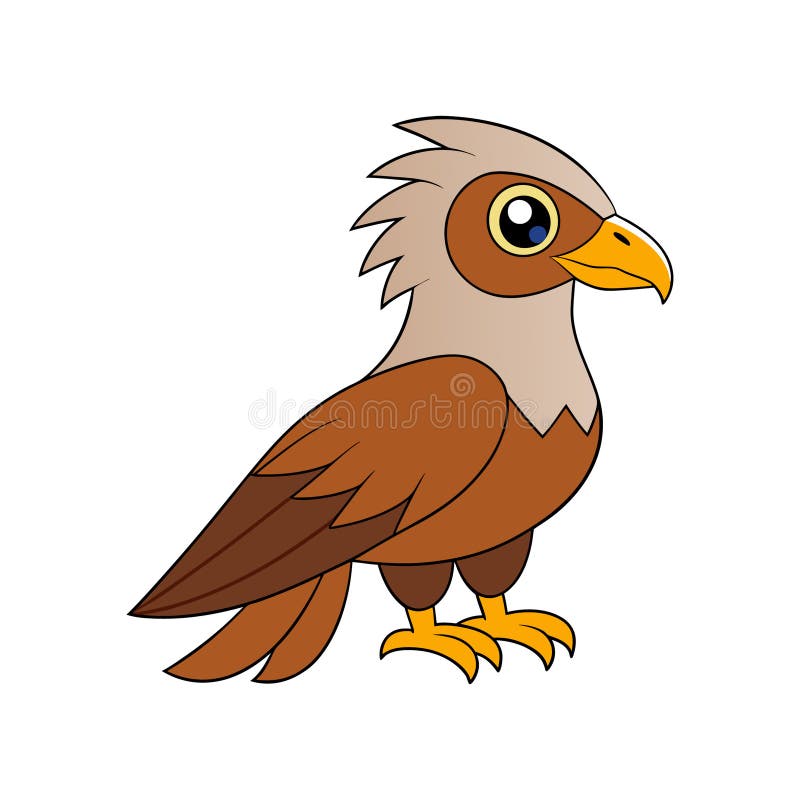 Vibrant Bicolored Hawk Bird Detailed Illustration Stock Photo ...