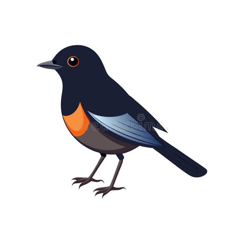 Vibrant Black Phoebe Artwork Stock Illustrations – 7 Vibrant Black ...