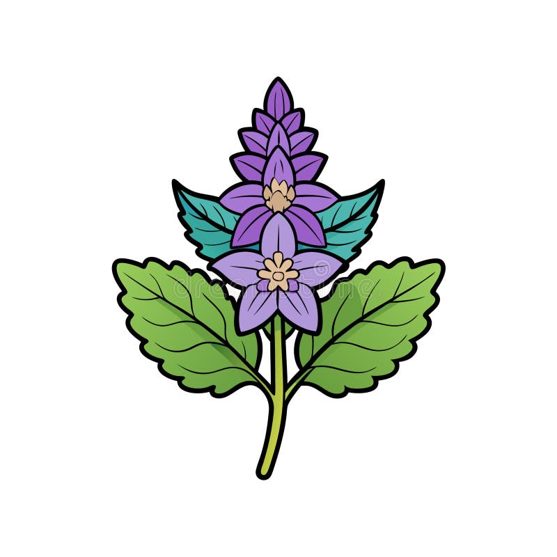 Vibrant Catmint Flower Artwork Stock Photo - Image of bold, outdoor ...