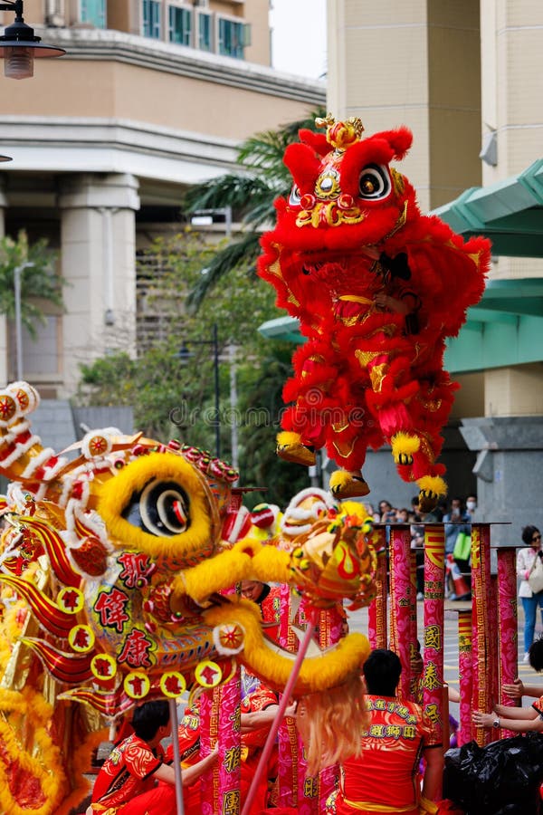 Chinese Lion Dance Performance in Cultural Celebration Editorial Stock ...