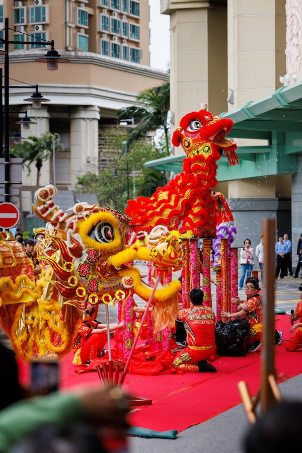 Chinese Lion Dance Performance in Cultural Celebration Editorial Image ...