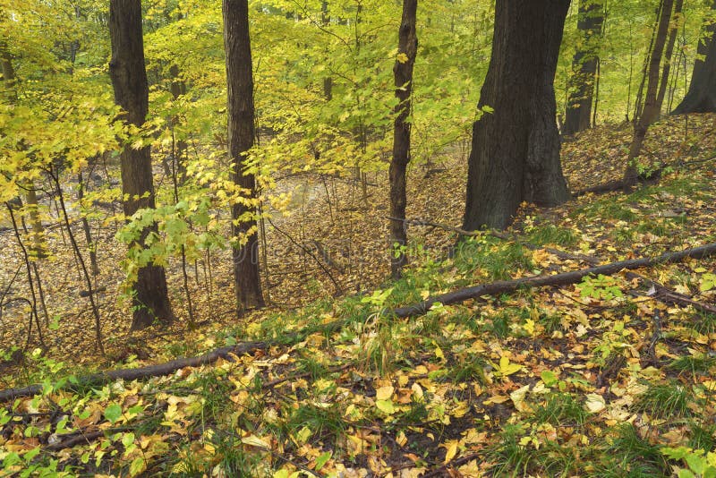 5,048 Midwest Scenery Photos - Free & Royalty-Free Stock Photos from ...