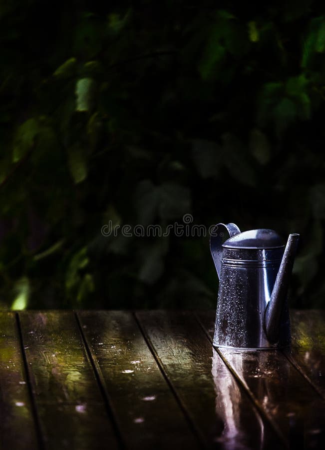 The Vibrant Colors after the Rain Stock Image - Image of deep, contrast ...