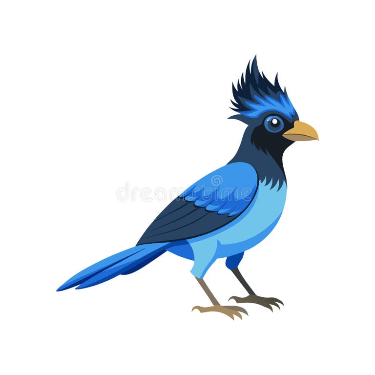 Vibrant Curl-crested Jay Bird Artwork Stock Illustration - Illustration ...