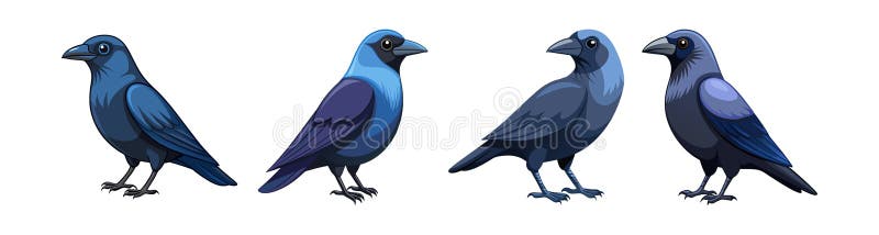 Vibrant Daurian Jackdaw Bird Artwork Stock Vector - Illustration of ...