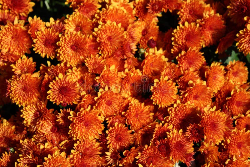Deep Orange Rock Formation and Blue Sky in Wire Pass Stock Image ...