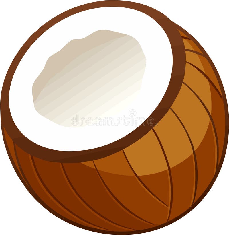 A Vibrant Vector Illustration of a Coconut Fruit, Highlighting Its ...