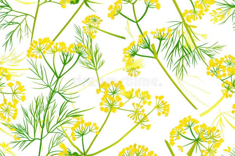Vibrant Dill Vegetable Illustration on White Background for Minimal ...