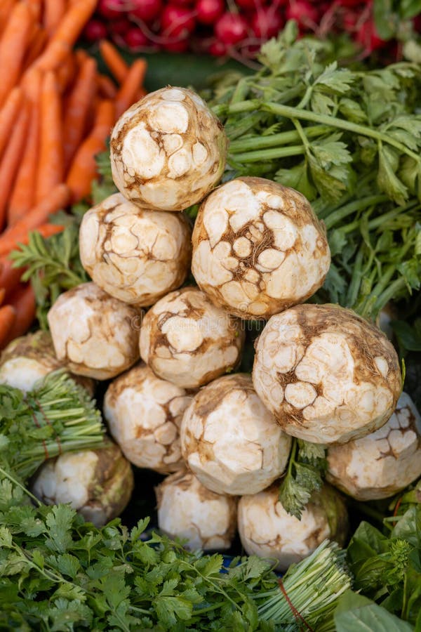 Freshcelery Root Stock Photos - Free & Royalty-Free Stock Photos from ...