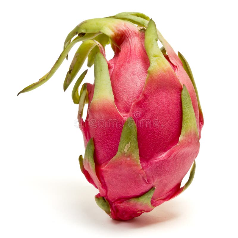Vibrant Dragon Fruit stock image. Image of fresh, cactus - 14305661