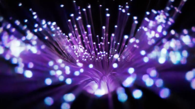 Electric Plasma Display Creates Mesmerizing Light Patterns in a Dark ...