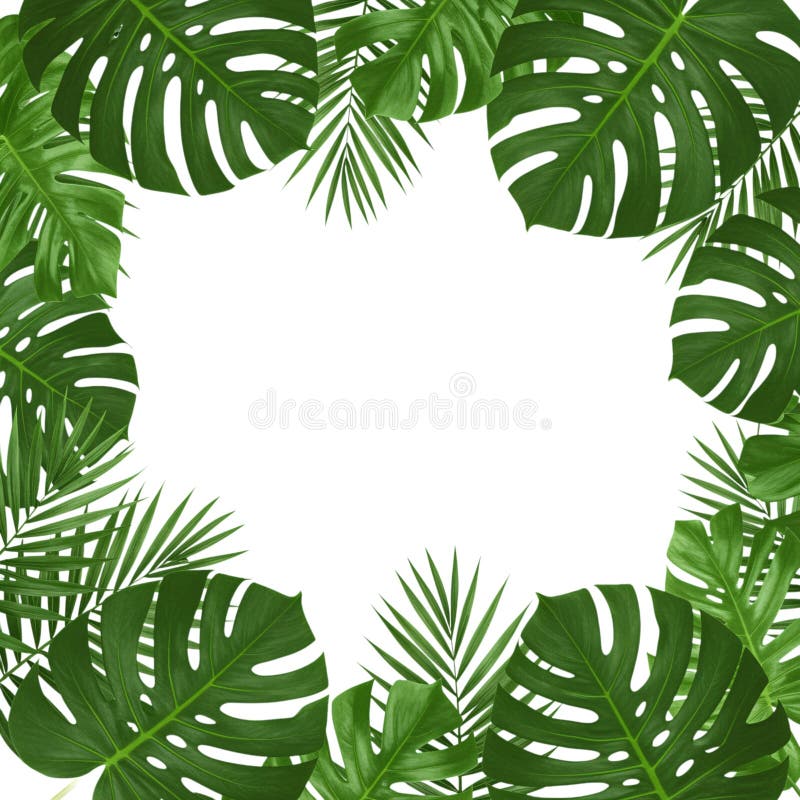 Tropical Leaf Border Frame for Design or Transparent Background Stock ...