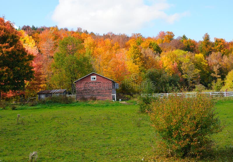 Vibrant Fall Colors in the Country Stock Image - Image of outdoor ...