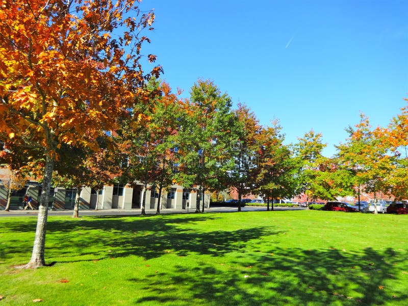 Vibrant Fall Foliage on a Sunny Day Stock Image - Image of autumn ...