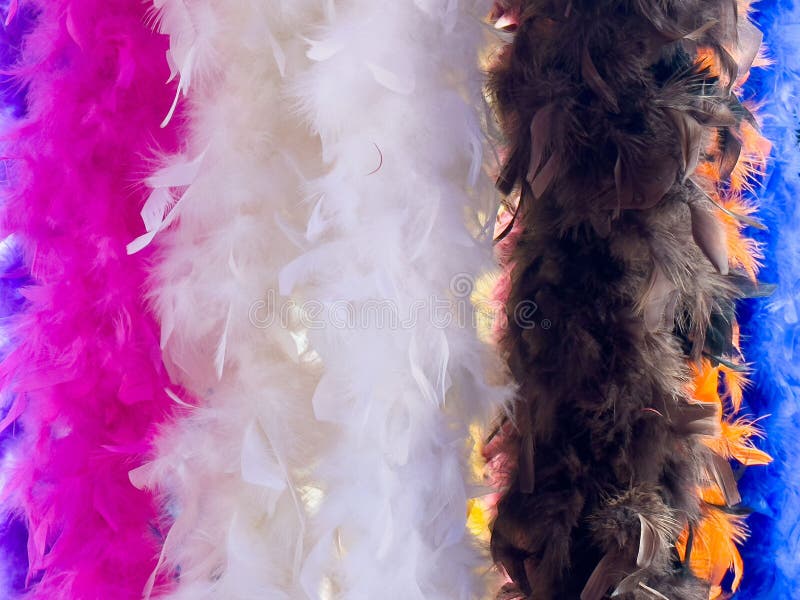 Vibrant Feather Boas in Various Colors Hanging in a Row Stock Photo ...