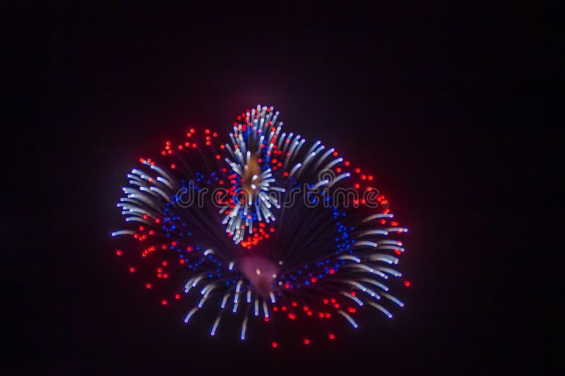 Vibrant Fireworks Display on Dark Night Sky Stock Photo - Image of ...