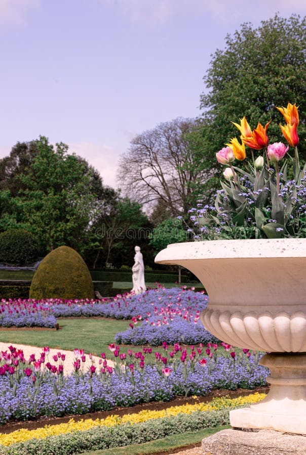 Vibrant Garden with Tulips and Statue Stock Photo - Image of statue ...
