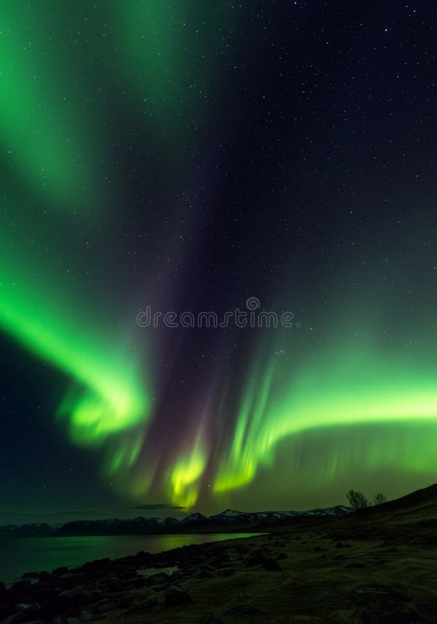 Vibrant Green Aurora Borealis Over Dark Night Sky Stock Illustration ...