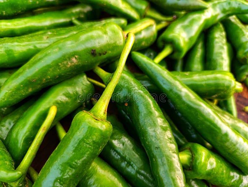Vibrant Green Chillies: a Spicy Harvest Stock Image - Image of vibrant ...