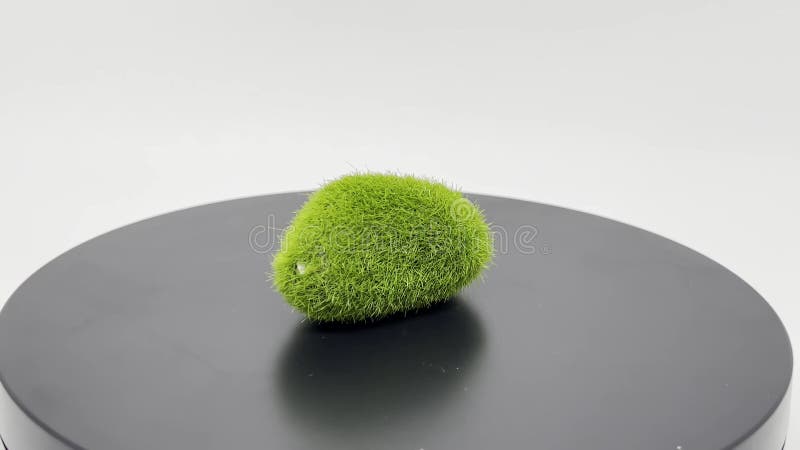 A Vibrant Green, Grass-like Object on a Rotating Black Surface Stock ...