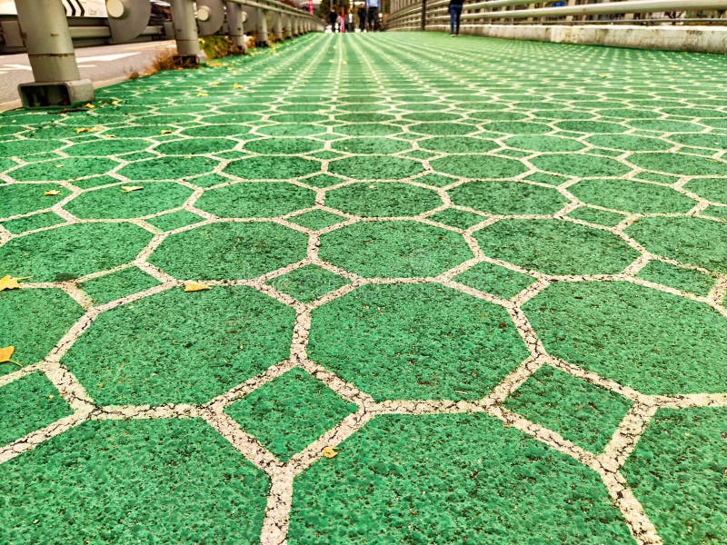 Unique Green Textured Hexagonal Pathway Pattern with Open Space for ...