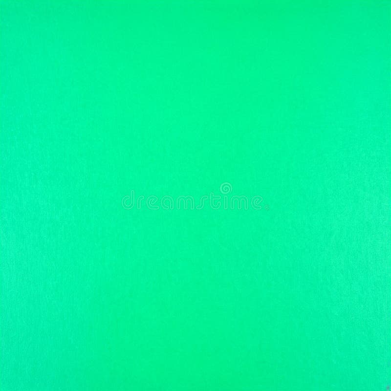 Bright Green Backdrop Sets the Stage for Creativity and Inspiration ...