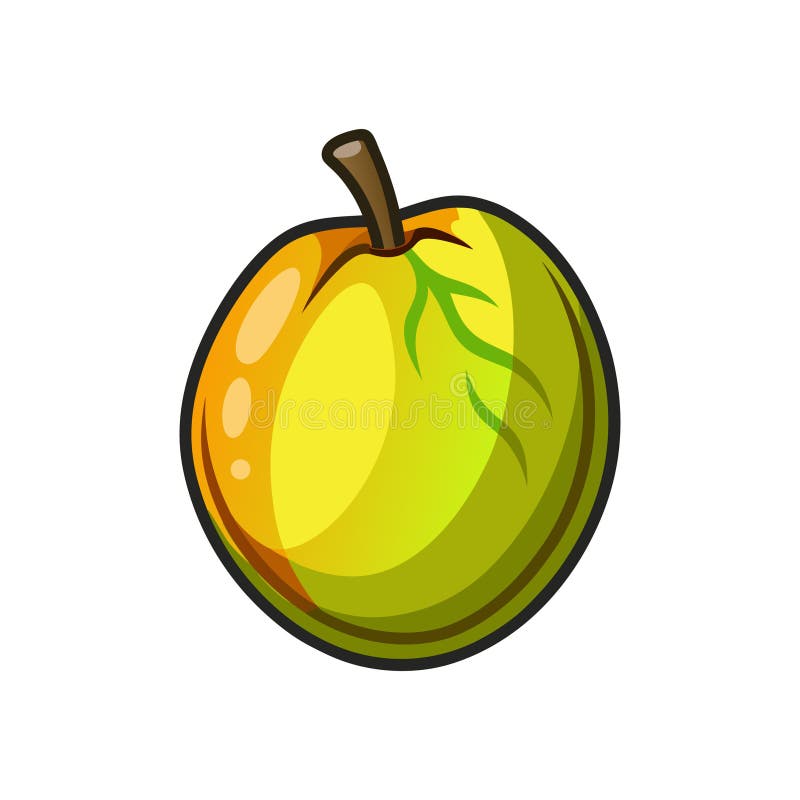 Huito Fruit Stock Illustrations – 6 Huito Fruit Stock Illustrations ...