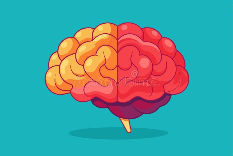 Brain Divided in Six Parts Like Puzzle. Function Zones. Vector Stock ...