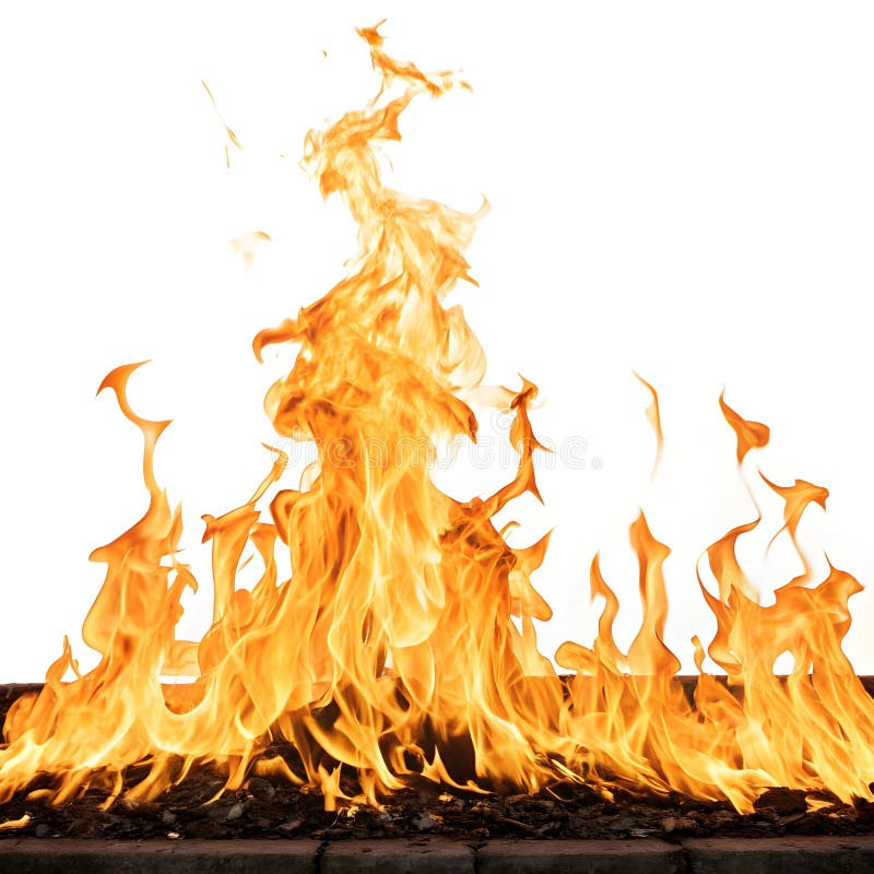 Vibrant Intense Fire with Dynamic Flames Isolated on White Background ...