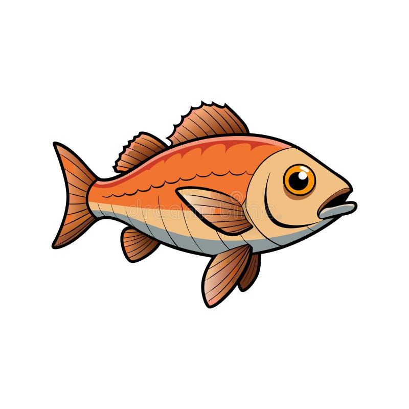 Vibrant Japanese Snapper Fish Illustration Stock Illustrations – 3 ...
