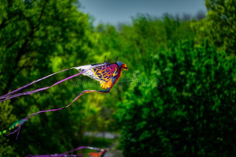 Vibrant Kite Soaring Over Tree-lined Path Stock Image - Image of aerial ...