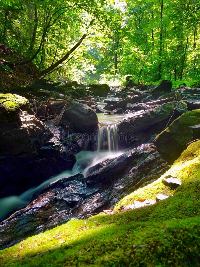 A vibrant little waterfall stock photo. Image of little - 60559352