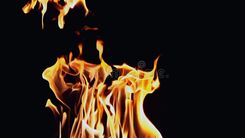 Dancing Flames Captivating and Enchanting Fire Glowing Beautifully ...