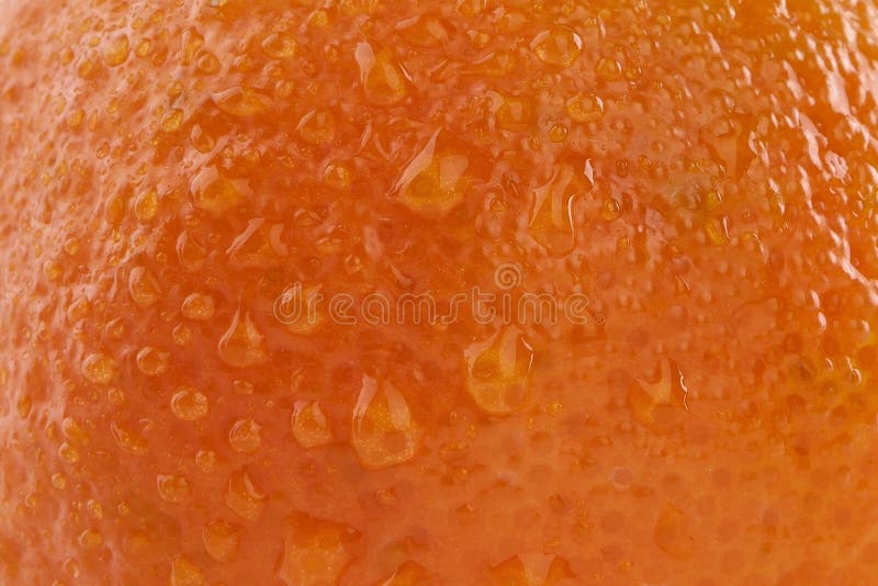 Citrus Fruit Pee Stock Photos - Free & Royalty-Free Stock Photos from ...