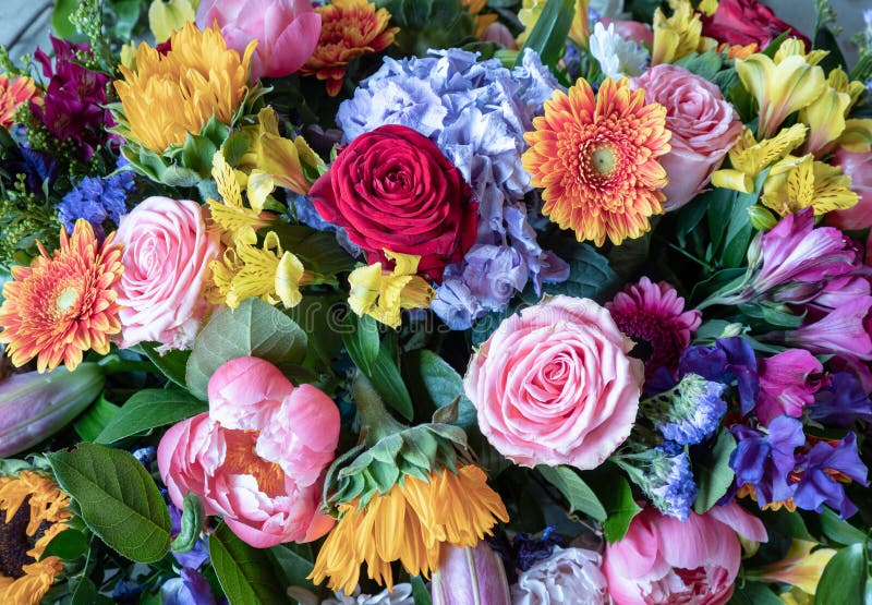 7,369 Types Large Measurements Stock Photos - Free & Royalty-Free Stock ...