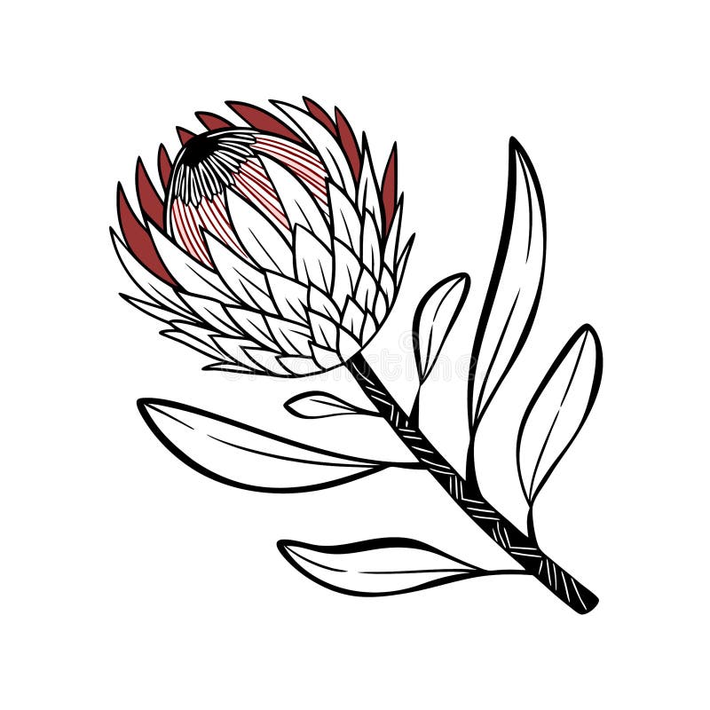 Mohawk Flower Graphic Stock Illustrations – 15 Mohawk Flower Graphic ...