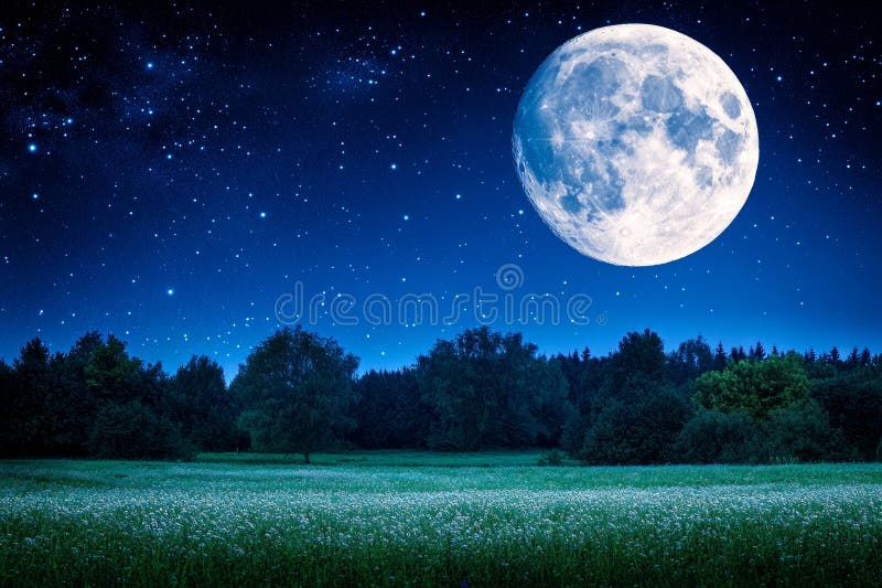 Vibrant Moonbeams Stock Photos - Free & Royalty-Free Stock Photos from ...