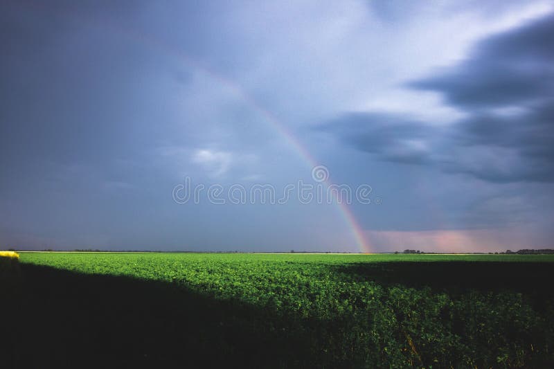 Vibrant Multi-colored Rainbow Illuminates a Cloudy Backdrop of Lush ...