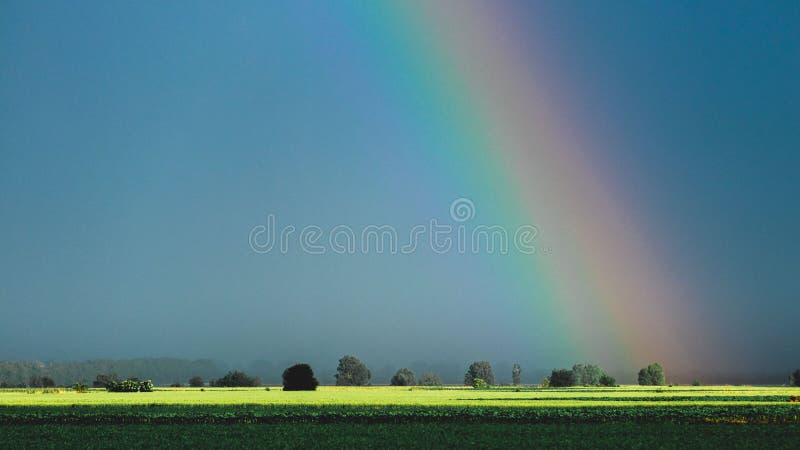 Vibrant Multi-colored Rainbow Illuminates a Cloudy Backdrop of Lush ...