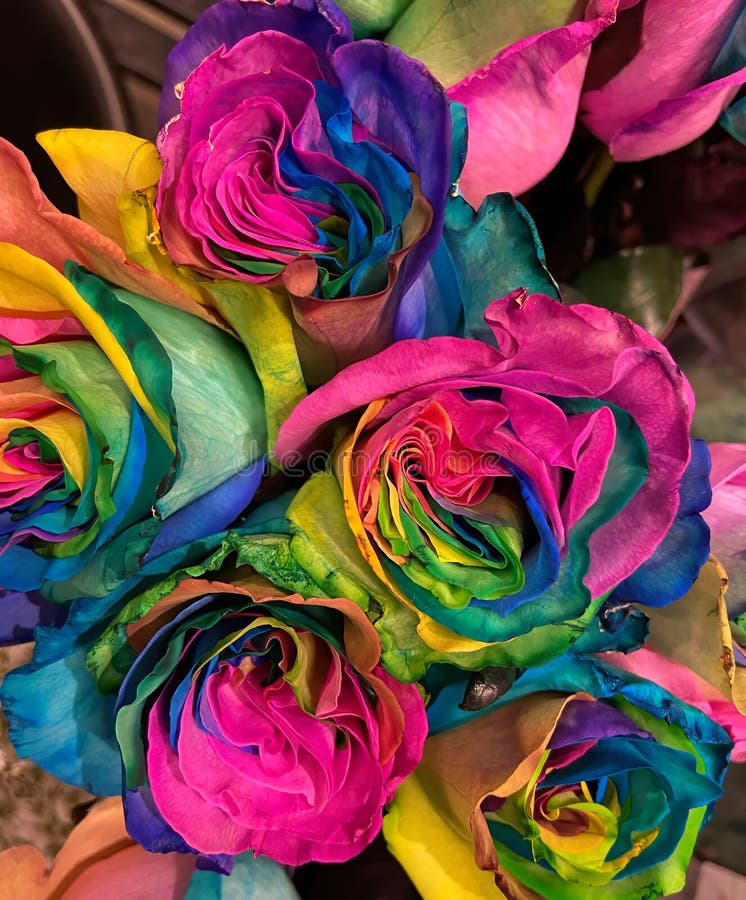 Vibrant Multicolored Roses for Valentines Day Stock Image - Image of ...