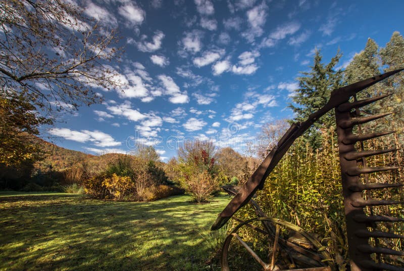 Vibrant Nature Colors in Autumn Garden Stock Photo - Image of park ...