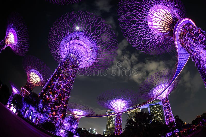Vibrant Night View Super Tree Stock Photos - Free & Royalty-Free Stock ...