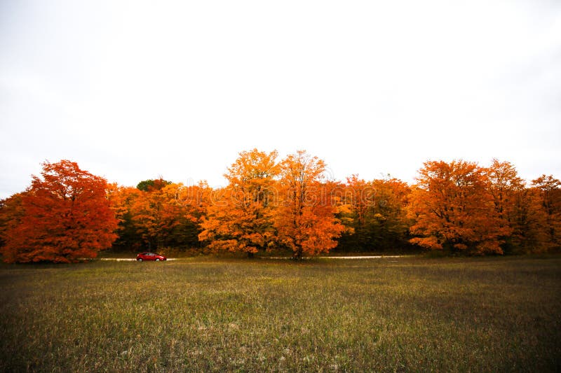 Vibrant Orange Fall Foliage with Car Stock Image - Image of trees, fall ...