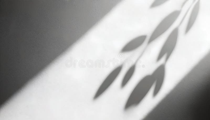 Vibrant Organic Diagonal Shadow Play on White Backdrop Striking Overlay ...