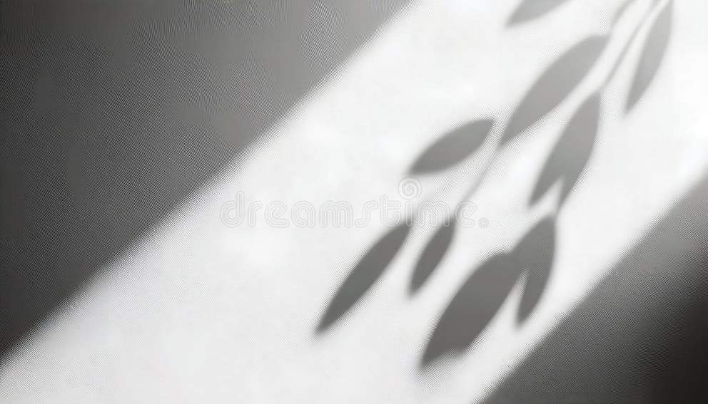 Vibrant Organic Diagonal Shadow Play on White Backdrop Striking Overlay ...