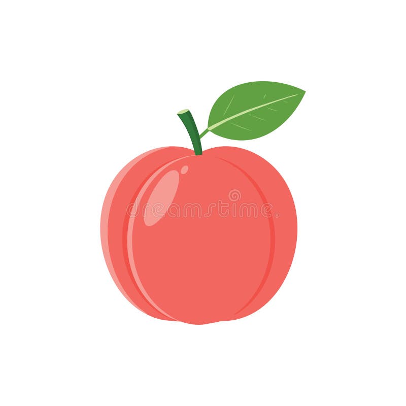 Vibrant Peach Illustration with Leaf , Minimalist Fruit Art for Design ...