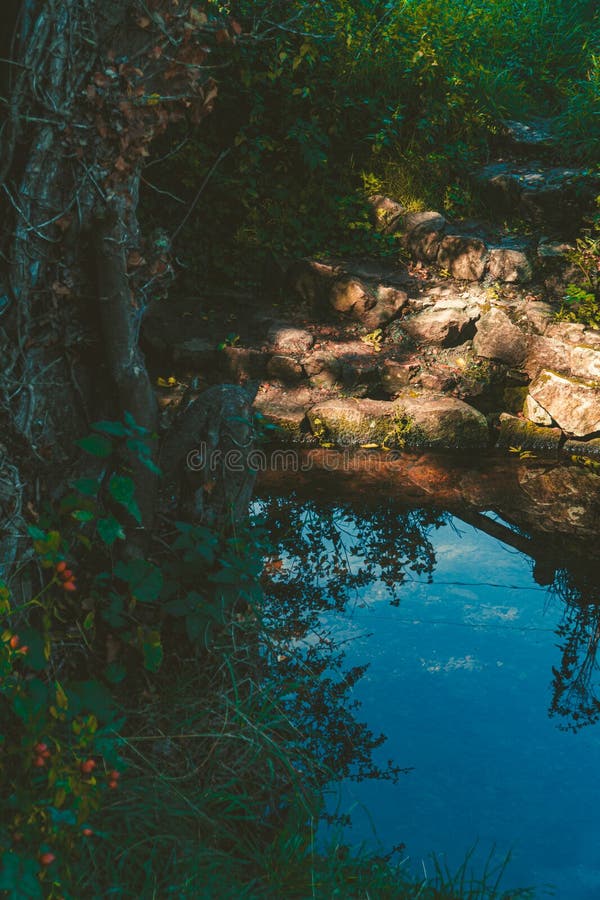 Vibrant Photo of a Small River Stream in England Stock Photo - Image of ...